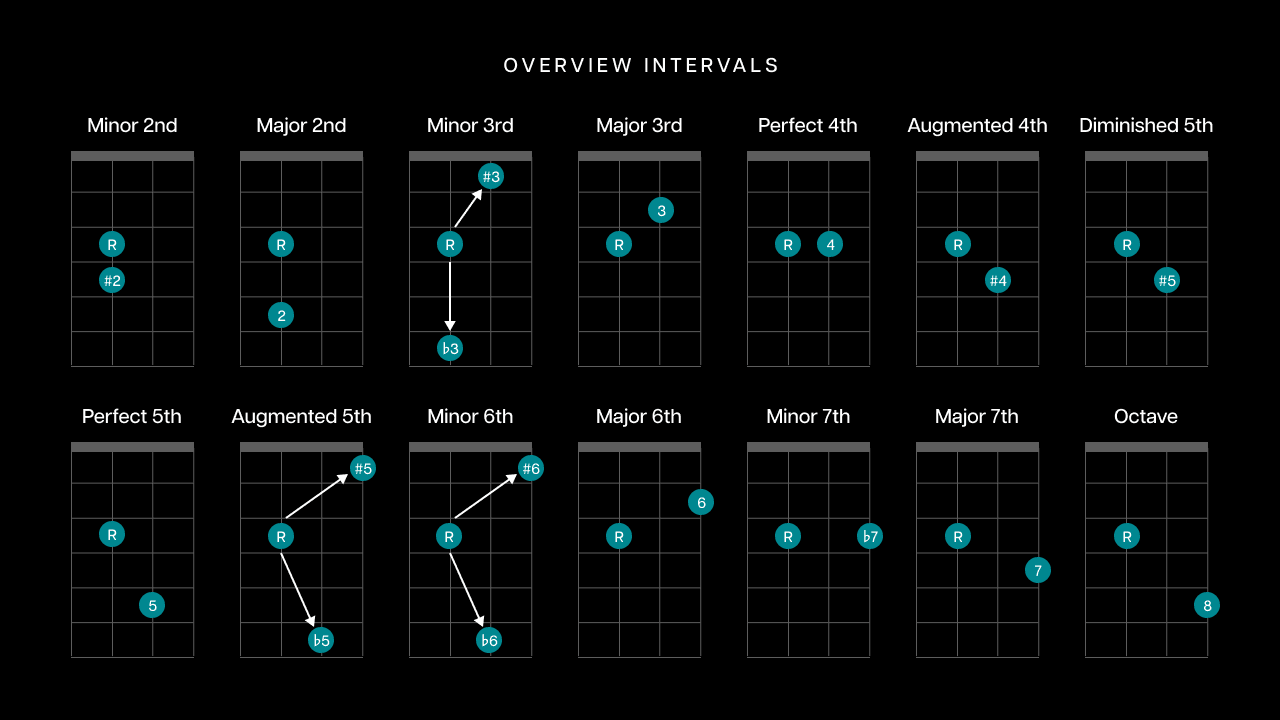 How to Memorize and Understand the Bass Fretboard for Beginners